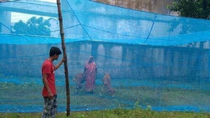 chirag Mosquito net for pet Animals Tent/Machardani Cow/Buffalo ...