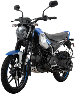 BAJAJ Freedom 125 CNG (Drum LED) Booking for Ex-Showroom Price Price in ...