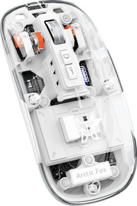 Arctic Fox Pureview Transparent Wireless and Bluetooth Rechargeable ...