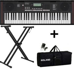 Roland E-X10 KEYBOARD + CARRY CASE + DOUBLE PIPE STAND Digital Arranger ...