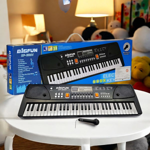 Kid Kraze 61-Keys Musical Keyboard Piano with Mic for Kids Analog ...