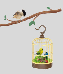 Meesaj Toy Beautiful Bird in Hanging cage with Music Singing Moving ...