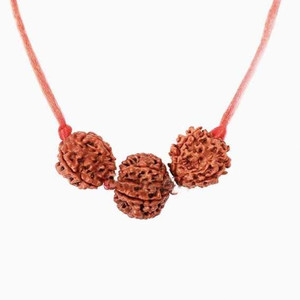 Rudraksham Saraswati Bandh Rudraksha Mala By RUDRAKSHAM Rudraksha Chain ...