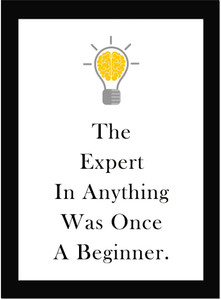 The Expert In Anything - Motivational Quote Framed Wall Poster ...