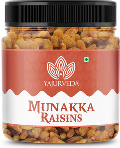 Yajurveda Premium jumbo Munakka||Juicy Abjosh||Jumbo golden raisins ...
