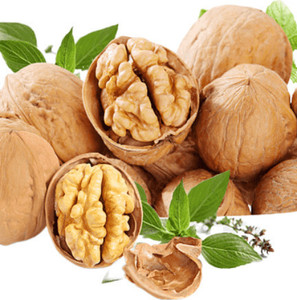 ZION walnut/Akhrot /kashmiri Dryfruits/walnut 1kg Walnuts Price in ...
