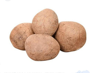 Avlokan Dry Coconut Whole/ Gota / Sriphal / Nariyal for pooja ...