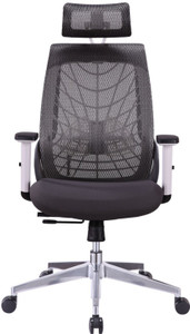 ErgoLab Office Chair with NA Study Arm Chair Price in India - Buy ...