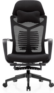 ErgoLab Relaxo High Back Ergonomic with Cushion Seat and Armrests Mesh ...