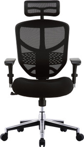 ErgoLab Office Chair with Mesh Study Arm Chair Price in India - Buy ...