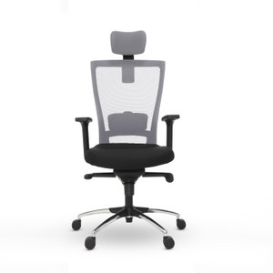 ssf Primus High Back Ergonomic Chair|Home, Office,WFH|2D Armrest|Adj ...