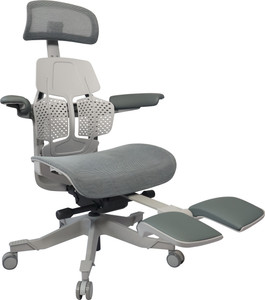 Make My Chairs ™Spine Multi Lock Synchro Tilt Mechanism & Foldable 2 ...