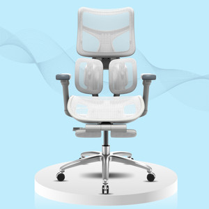 The Sleep Company Elite Premium Ergonomic High-Back Desk for Office ...