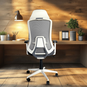oolive FEDO OC222 Mesh Office Adjustable Arm Chair Price in India - Buy ...