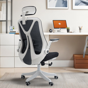 Drogo Ergonomic Office Chair for Work from Home Computer Chair Lumbar ...