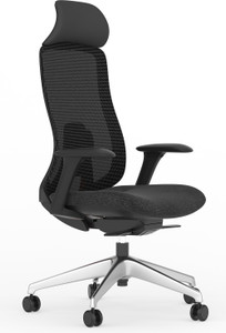 ErgoLab Fedo High Back Ergonomic Mesh Multi-Tilt Lock Mechanism ...