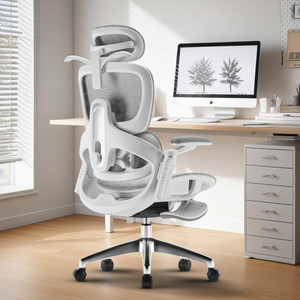 Drogo Ergonomic Office Chair for Work from Home Computer Chair 6D ...