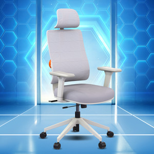 The Sleep Company Flex SmartGRID Premium Ergonomic High-Back Desk Chair ...
