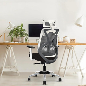 tiger enterprises Zen HB Office Chair Ergonomic Mesh Office Chair with ...