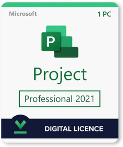 MICROSOFT Project Professional 2021 for Windows (1 User/PC, Lifetime ...