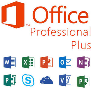 MICROSOFT Office Pro Plus 2021 for Windows (1 User, Lifetime Validity ...