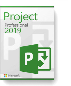 MICROSOFT Project Professional 2019 (1 User, Lifetime Validity) License ...