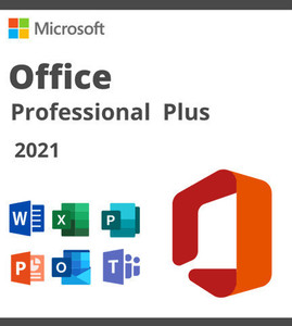 MICROSOFT Office Professional Plus 2021 (1 User/PC, Lifetime Validity ...