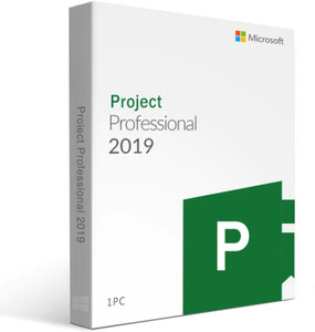 MICROSOFT Project Professional 2019 (1 User/PC, Lifetime) - MICROSOFT ...