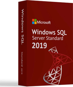 MICROSOFT SQL Server 2019 License Standard (1 User/PC, Lifetime ...