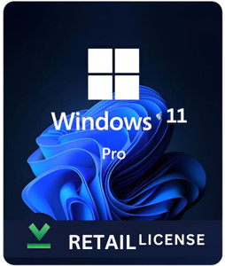 Star Enterprise Win 11 Pro Key Life Time Validty license Retail Key ...