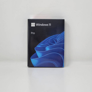 MICROSOFT Windows 11 Pro_AQ04 1 User / 1 PC Lifetime Validity Retail ...
