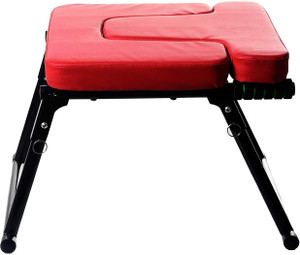IRIS Yoga Inversion Chair Supporter - Buy IRIS Yoga Inversion Chair ...
