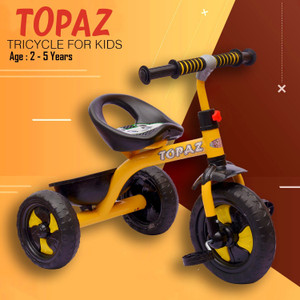 PANDA TOPAZ TRIKE FOR KIDS TOPAZ TRIKE FOR KIDS Tricycle Price in India ...