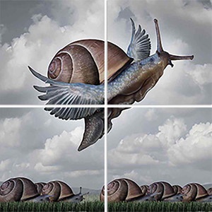 Artzfolio Business Metaphor With A Surreal Crowd Of Snails Split ...
