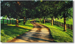 Plus Value Endless Road Painting – Vastu & Feng Shui Canvas Print ...