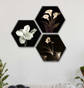 efd FLORAL SET OF 3 HEXAGON UV TEXTURED WALL PAINTING Digital Reprint ...