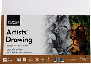 Flipkart.com | BRuSTRO Artists Pack of 30 Sheets, Unruled, A4, 160 gsm ...