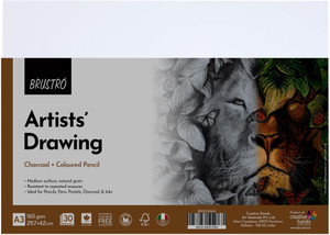 Flipkart.com | BRuSTRO Artists Pack of 30 Sheets, Unruled, A3, 160 gsm ...