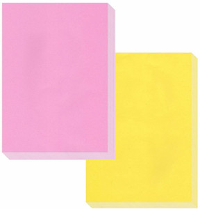 Flipkart.com | ESCAPER Rose & Lemon Colour Paper A4 Size Bundle (80 ...
