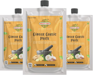 Nature's Spice Ginger Garlic Paste - 600 Grams Price in India - Buy ...