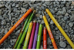 Flipkart.com | Third Eye Eco Friendly Seed Pencils |Grow Plants from ...