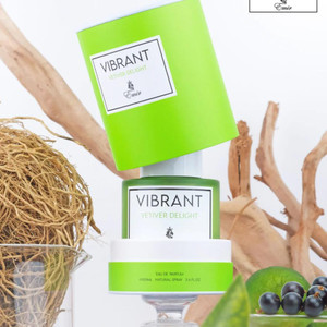 Buy Paris Corner Emir Vibrant Vetiver Delight Eau de Parfum - 100 ml ...