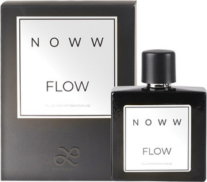 Buy NOWW FLOW Perfume for Men Gentleman Classic Eau de Parfum - 100 ml ...