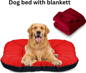 drilly extraordinary Soft marflatbed with free blankett for dogs and ...