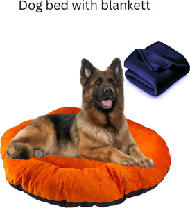 drilly Meritorious premium soft flatbed with free blankett for dogs and ...