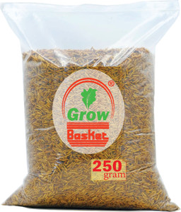 Grow Basket Puff Black soldier fly dry BSF 40% rich protein for Big ...