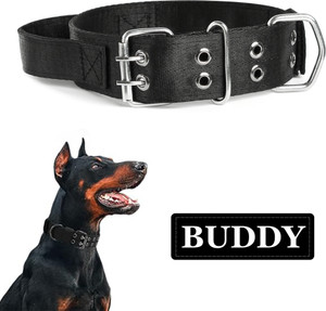 TRUE DAWG Dog Everyday Collar Price in India - Buy TRUE DAWG Dog ...