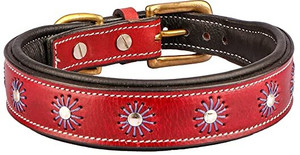 Sparrow Daughter Dog Everyday Collar Price in India - Buy Sparrow ...