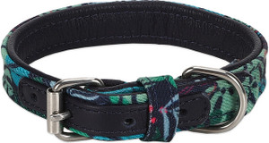 Anko Dog Everyday Collar Price in India - Buy Anko Dog Everyday Collar ...