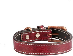 Sparrow Daughter Leather Beaded Dog Collar | Neck Belt for All Breeds ...